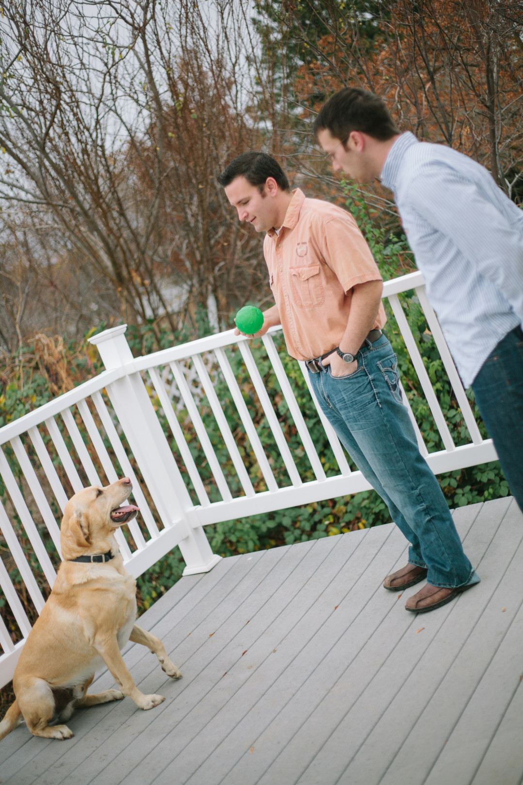 Dog Training Programs | Top Dog